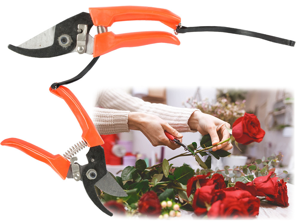 Garden hand pruning shear shrub shears | CATEGORIES \ Garden \ Tools ...