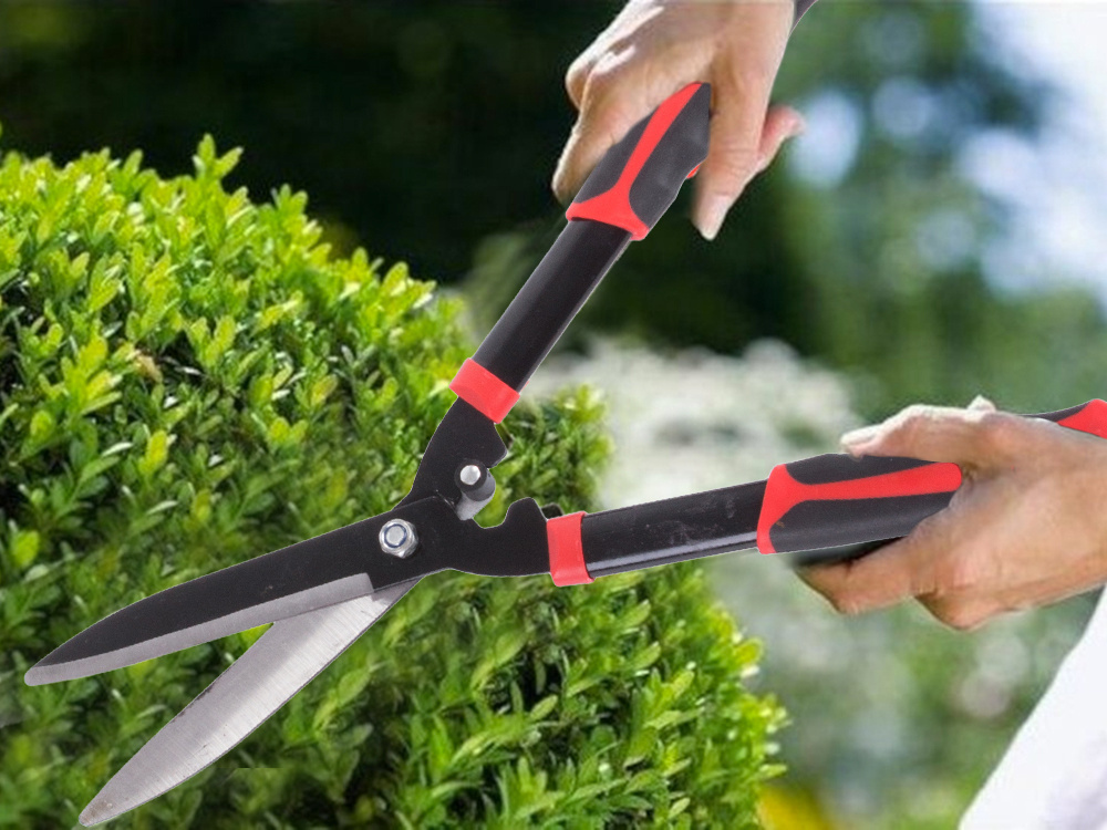 Garden hand shears for shrub hedges grass plant shears | CATEGORIES ...