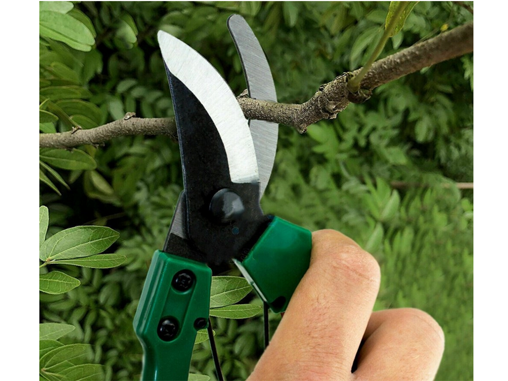 Hand pruning shear for shrubs pruning shears for plants | CATEGORIES \ Garden \ Tools | verk.store